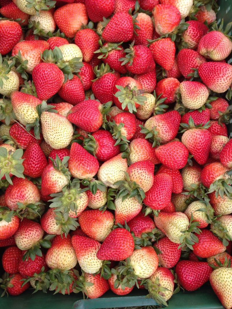 Comproagro - Mis productos