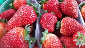 Comproagro - Mis productos