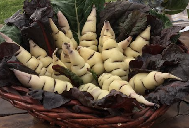 Comproagro - Mis productos