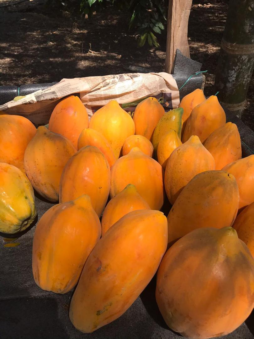 Comproagro - Mis productos