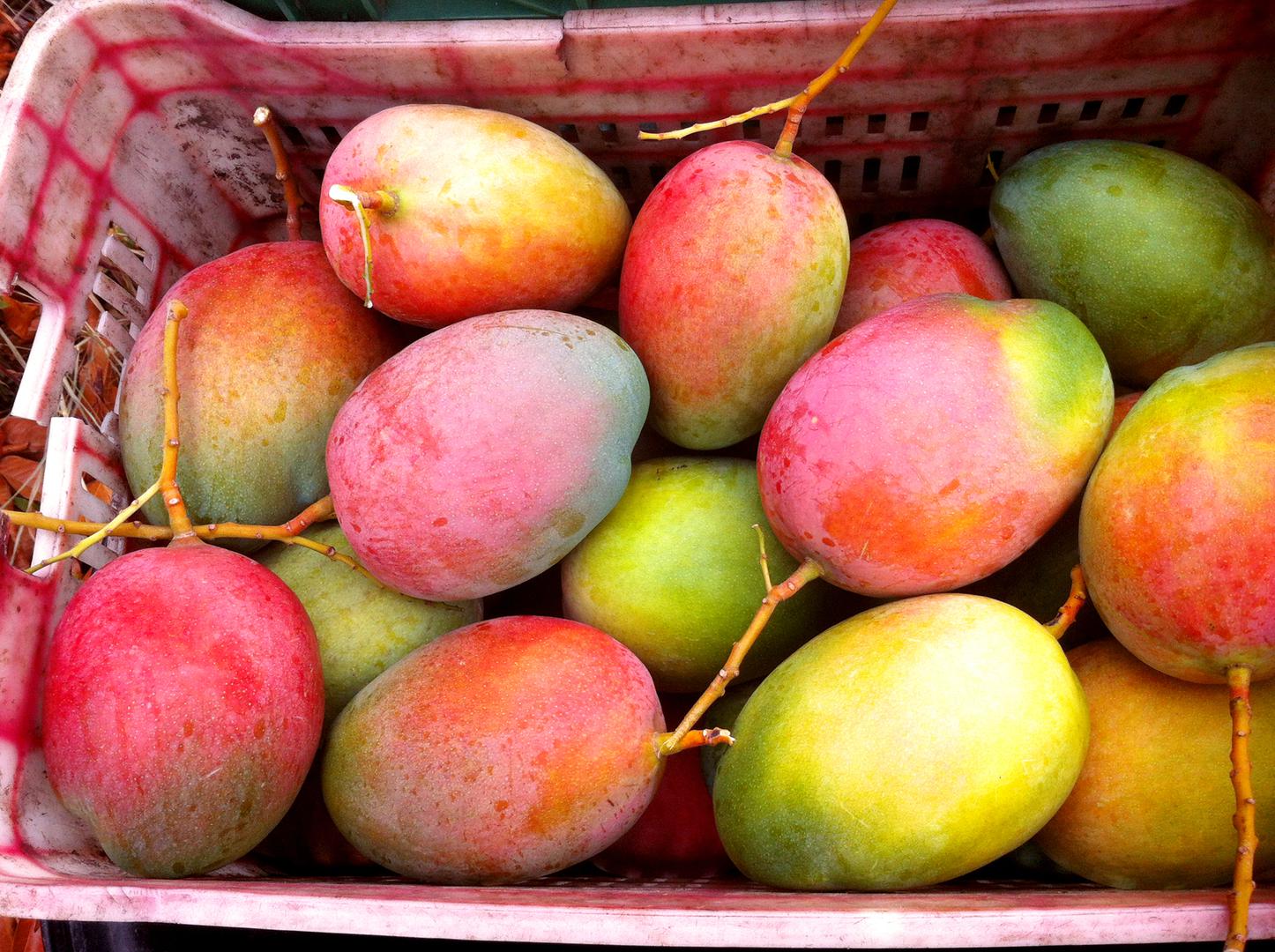 Comproagro - Mis productos