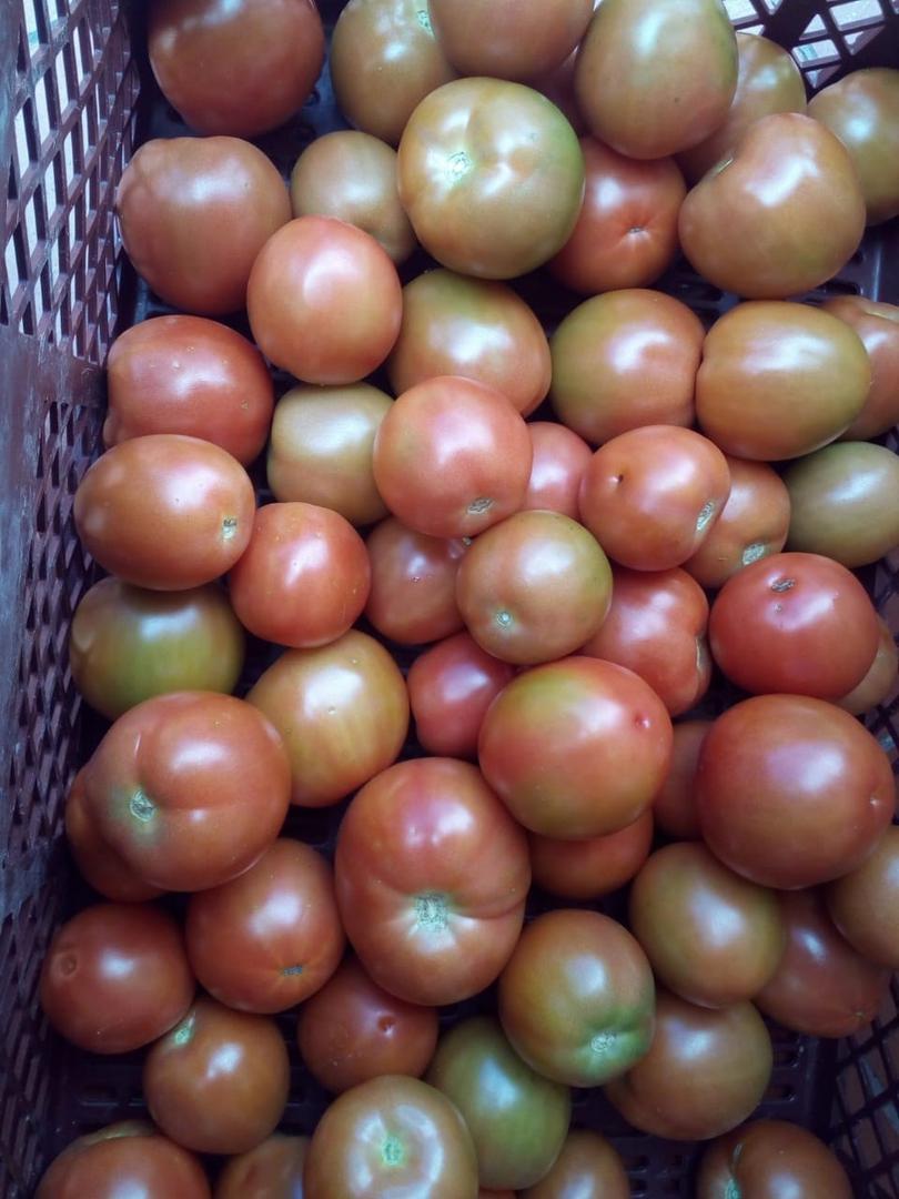 Comproagro - Mis productos