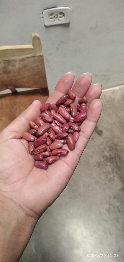 Comproagro - Mis productos